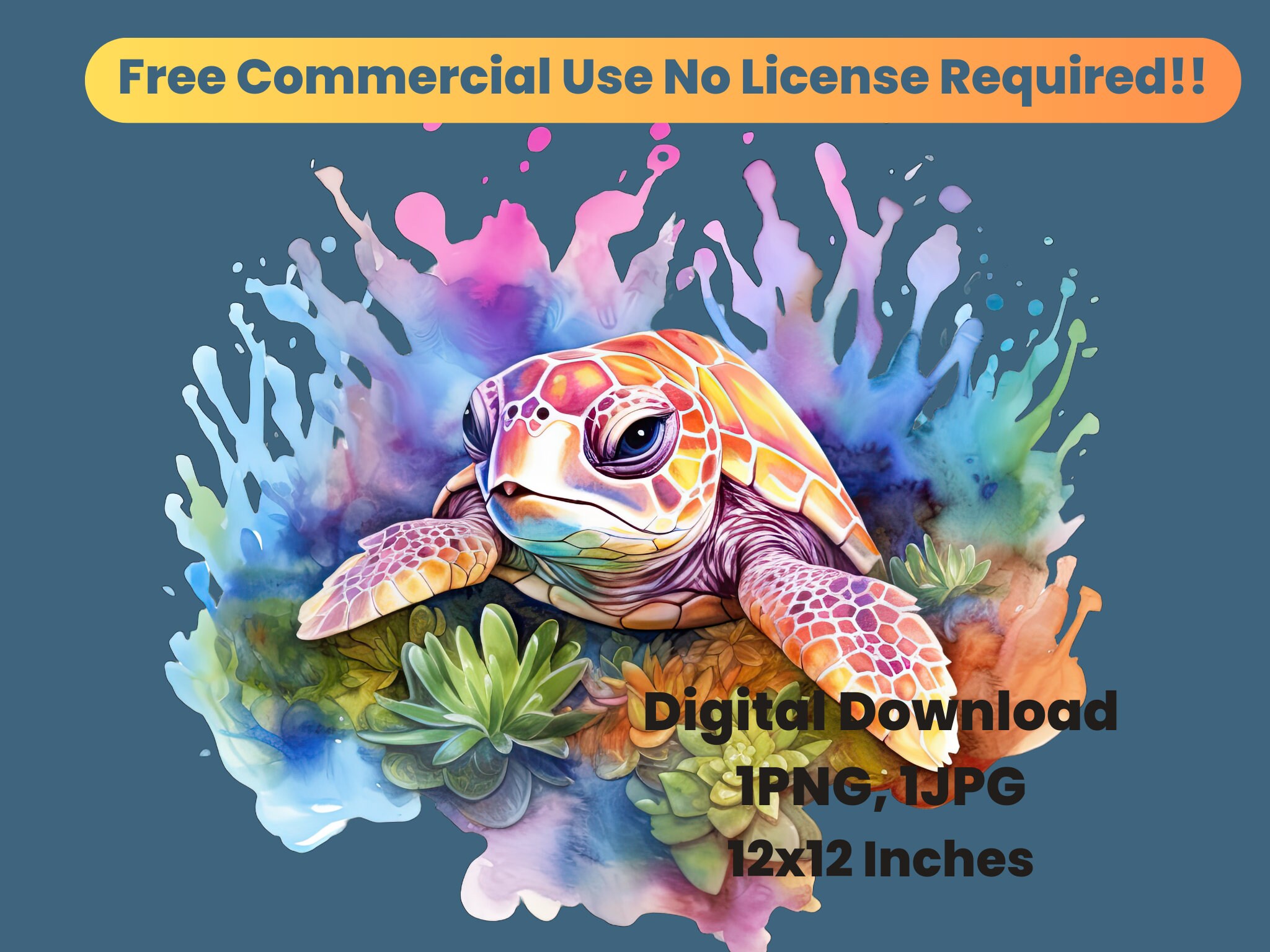 Turtle Clipart Ocean Animals Sea Turtle PNG Sea Turtle Ocean - Etsy