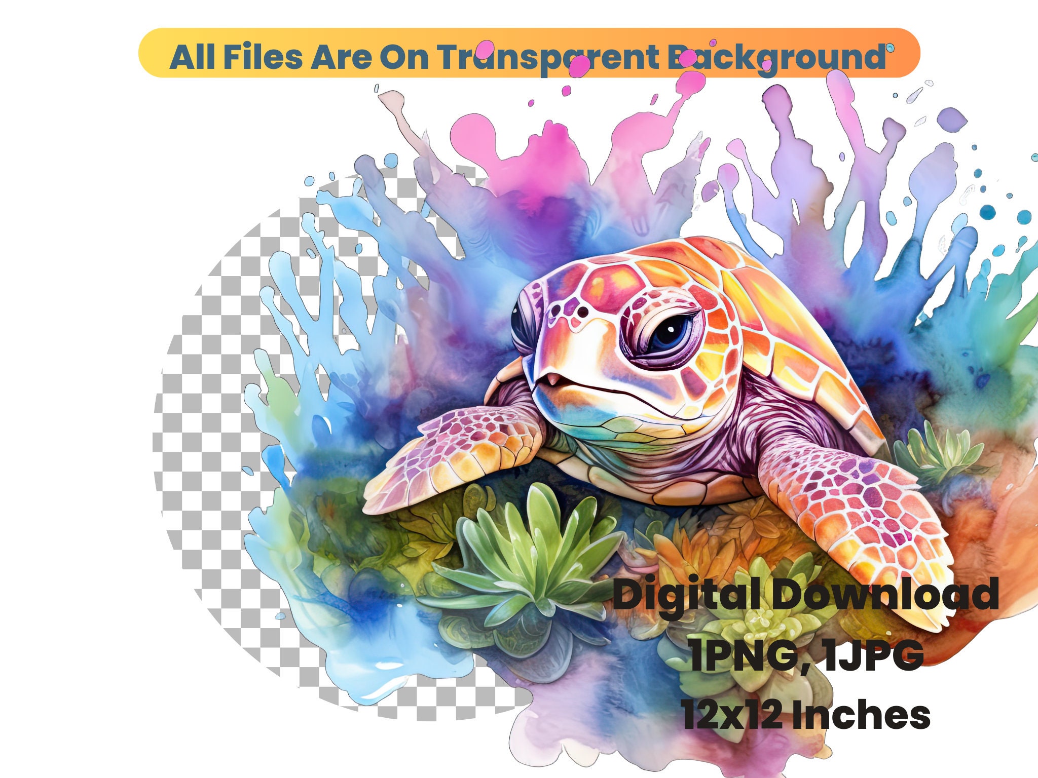 Turtle Clipart Ocean Animals Sea Turtle PNG Sea Turtle Ocean - Etsy