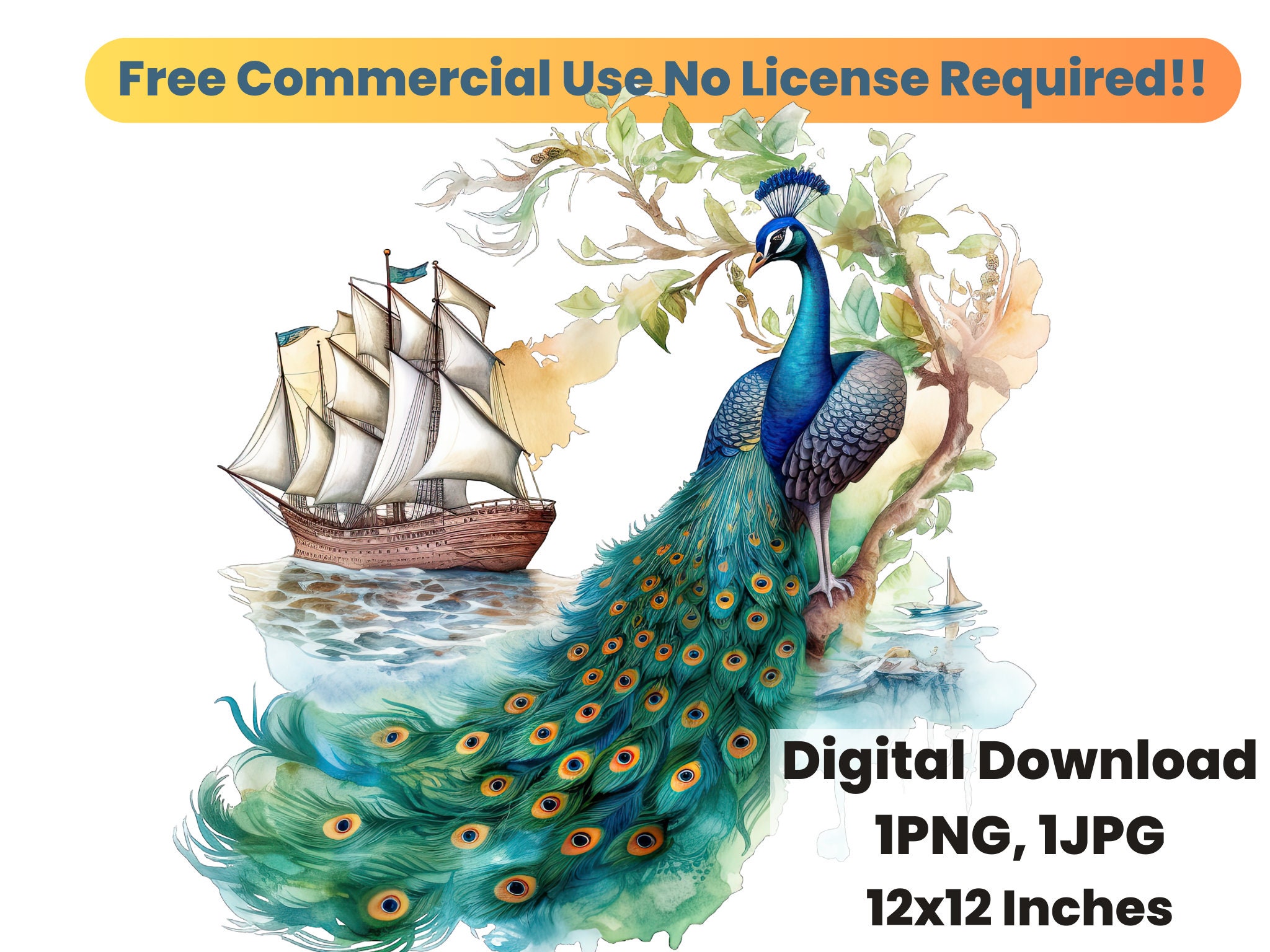 Peacock Watercolor Clipart Bird Clipart Digital Download - Etsy