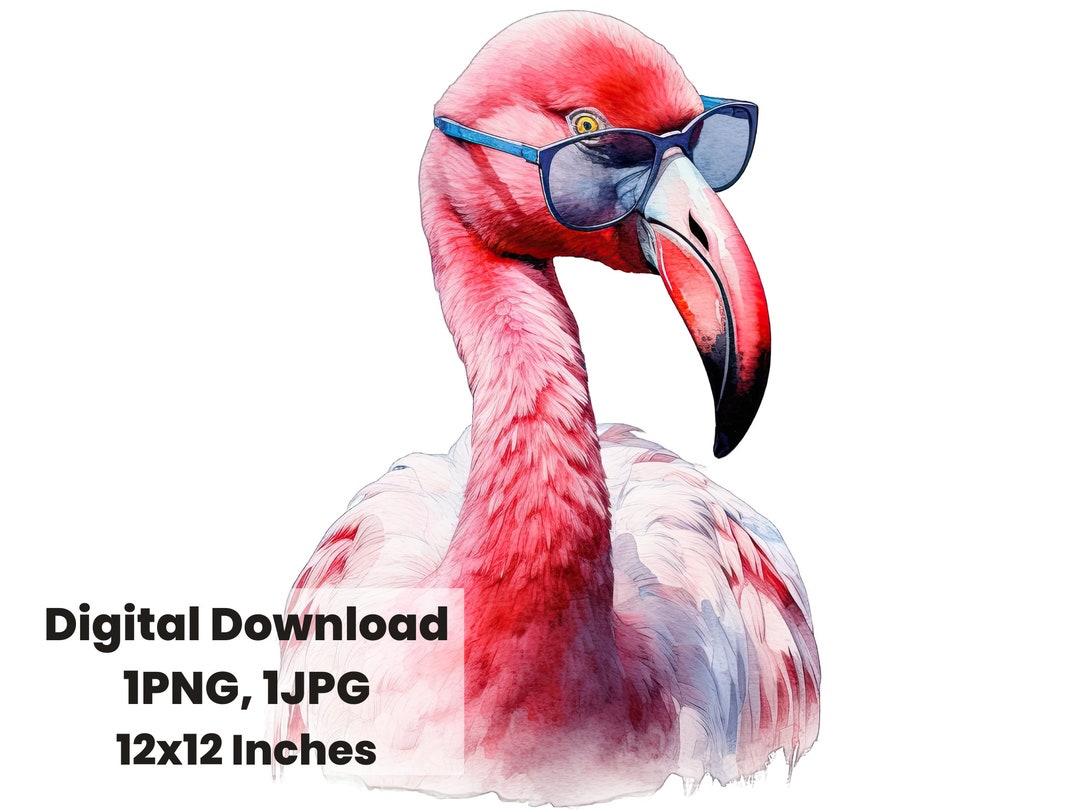 Cool Watercolor Clipart Flamingo With Shades, Bird Clipart, Digital ...