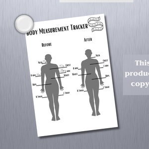 Body Measurement Tracker, Body Measurement, Body Transformation, Weight ...