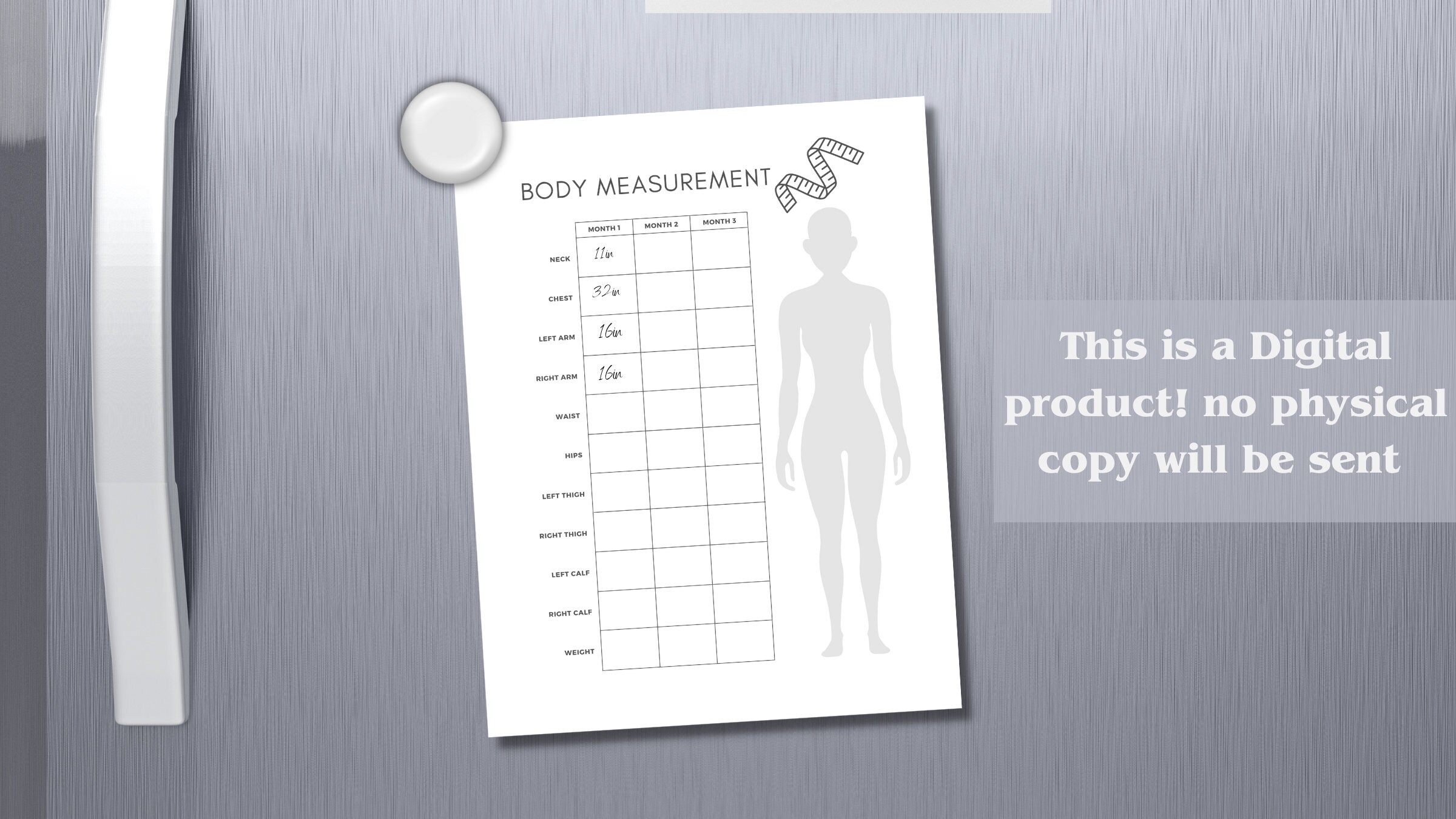 Body Measurement Tracker, Body Measurement, 3 Month Body Transformation ...