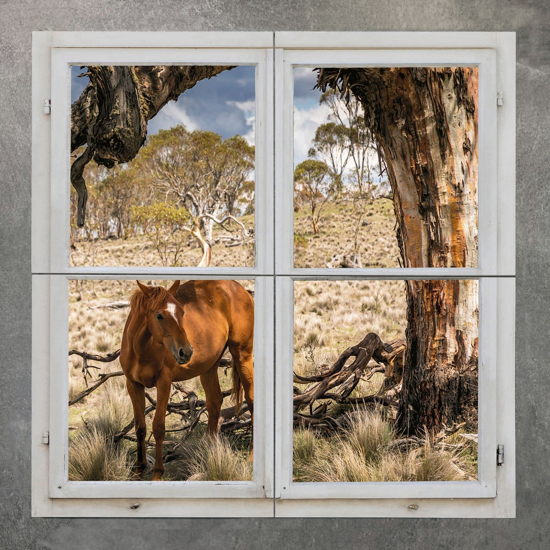 Fake Window Tile Mural, Window Tile Mural, Views Through a Fake Window ...
