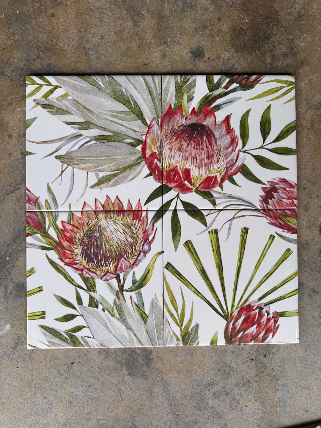 Protea Floral Tile Mural: Australian Botanical Art - Etsy Australia