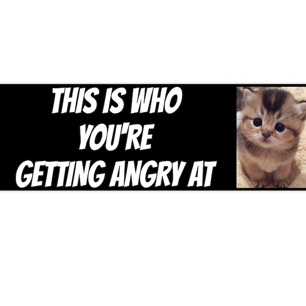 Funny Bumper Sticker - Etsy