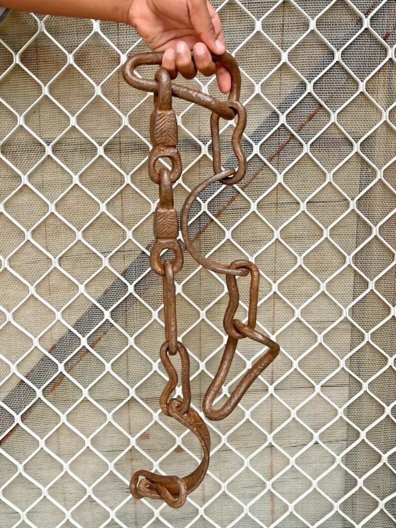 Antique Shackle Horse Leg Iron Chain Hand Forged Vintage Animal Ankle ...