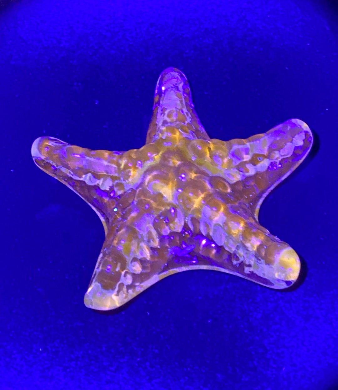 Blue Vaseline Glass Selenium Pink UV Glow Starfish Paperweight Figurine ...