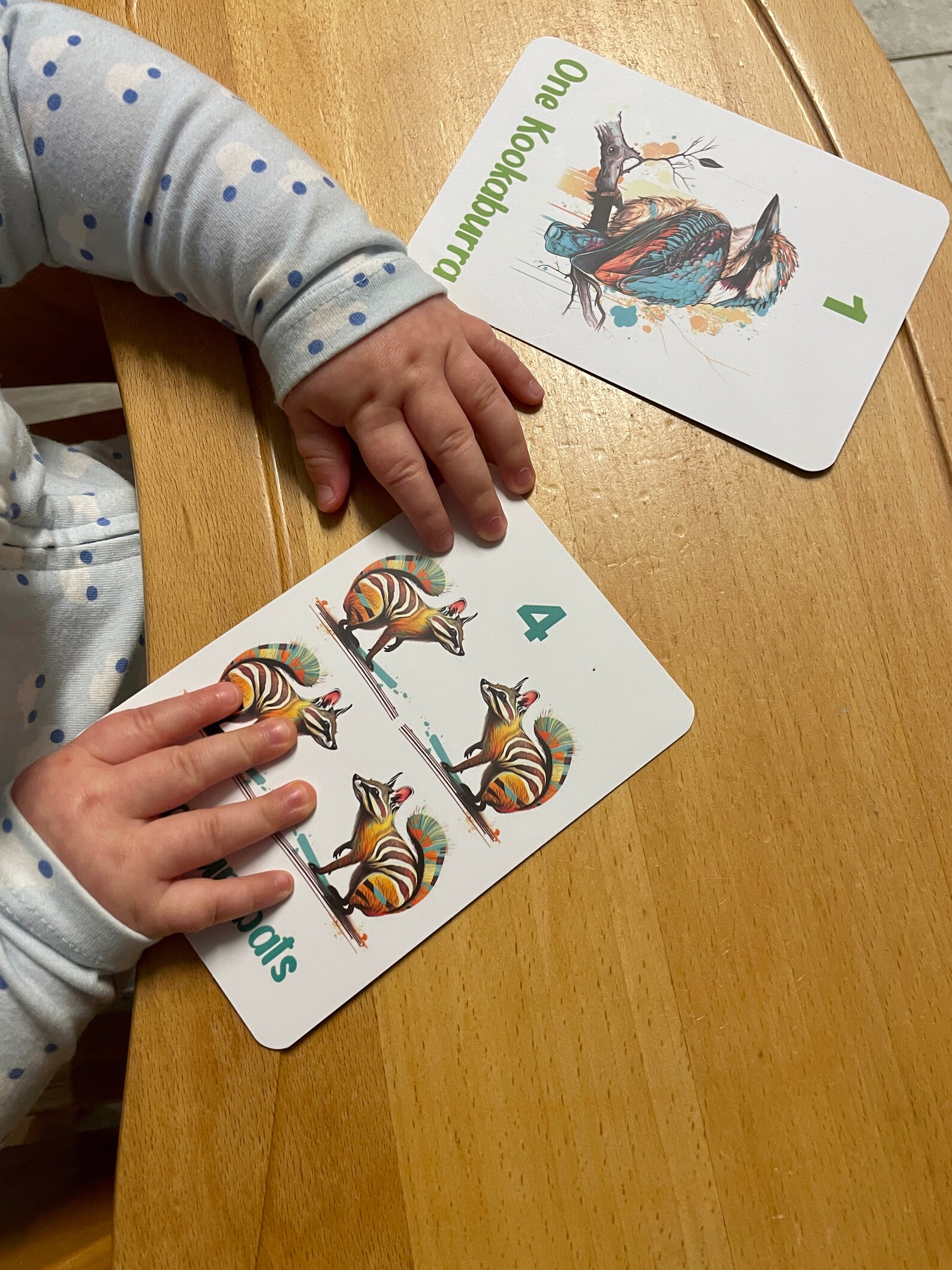 Australian Animal Numeracy Flash Cards for Kids Montessori 123 Numbers ...