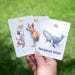 ABC Australian Animal Alphabet Flash Cards for Kids | Early Learning ...