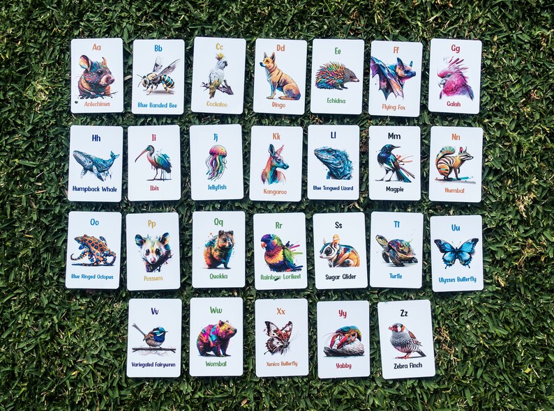 ABC Australian Animal Alphabet Flash Cards for Kids Early - Etsy Australia