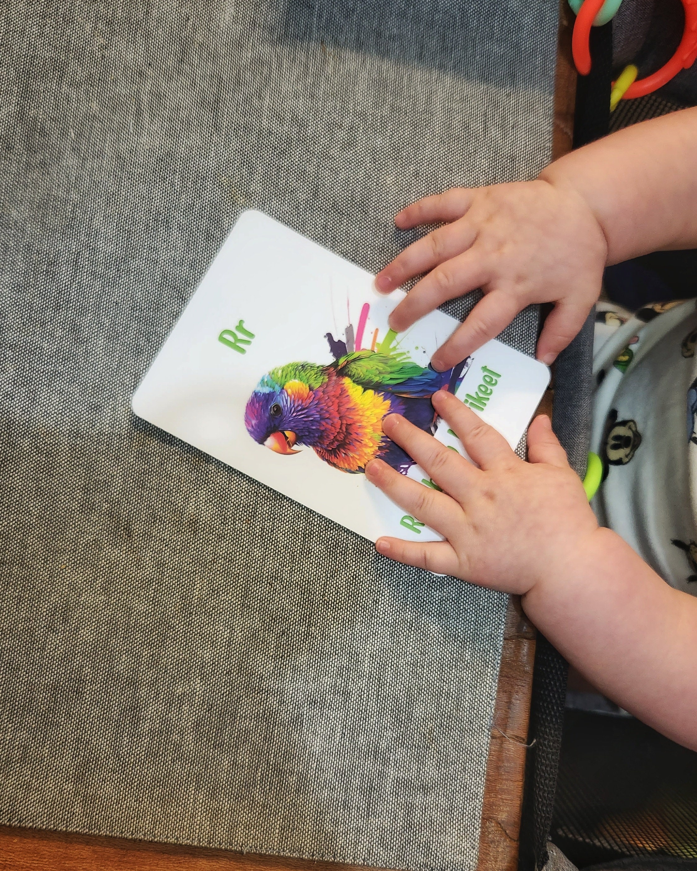 ABC Australian Animal Alphabet Flash Cards for Kids Early Learning ...