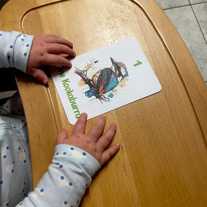Australian Animal Numeracy Flash Cards for Kids Montessori 123 Numbers ...