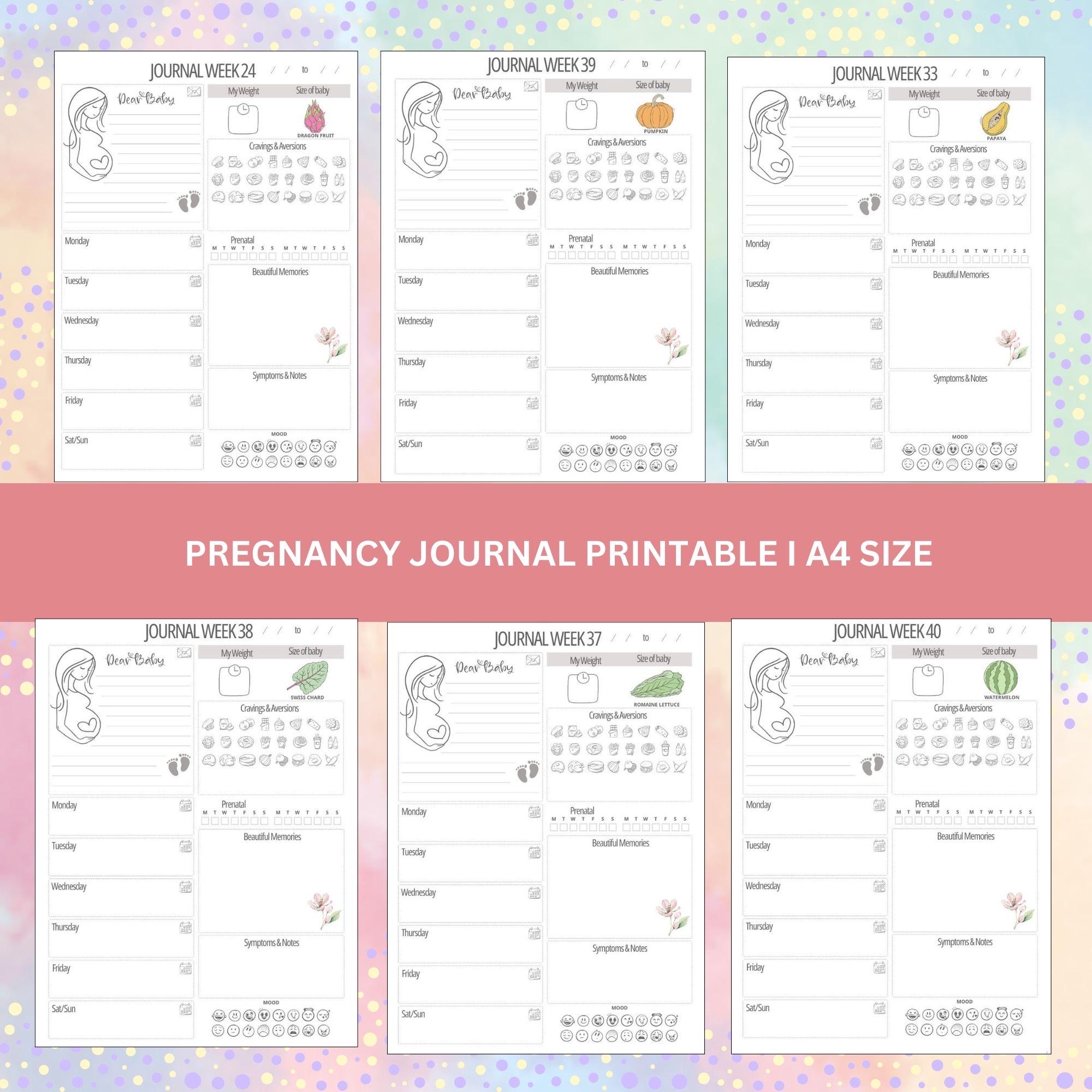 Pregnancy Journal Guide Baby Template Printable New for New Mom Birth ...