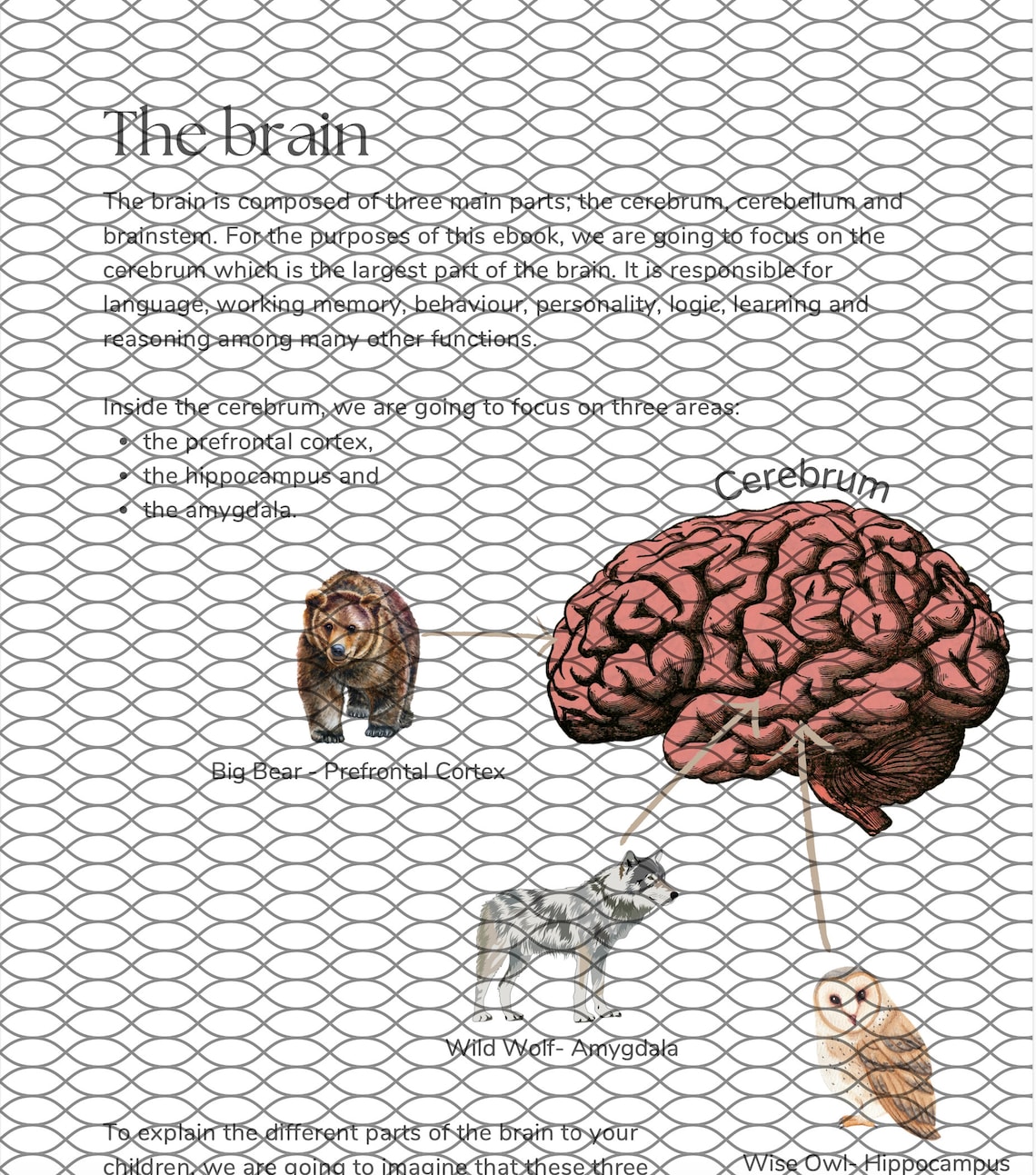 Understanding Your Child's Brain - the Fundamentals. A Practical Ebook ...