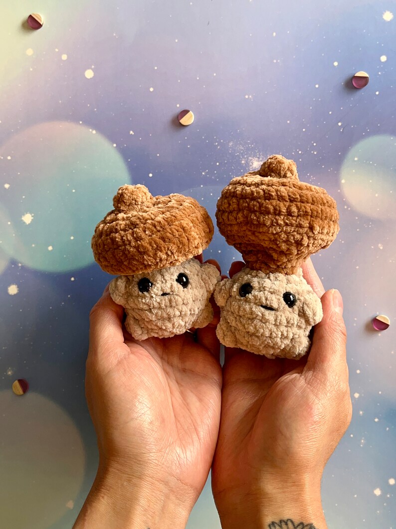 Acorn Pop Plushie Acorn Crochet Acorn Amigurumi Fidget Toy - Etsy