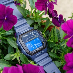 Custom Casio Ocean King Mod - Blue Casio WS-1600 Digital Modified Watch ...