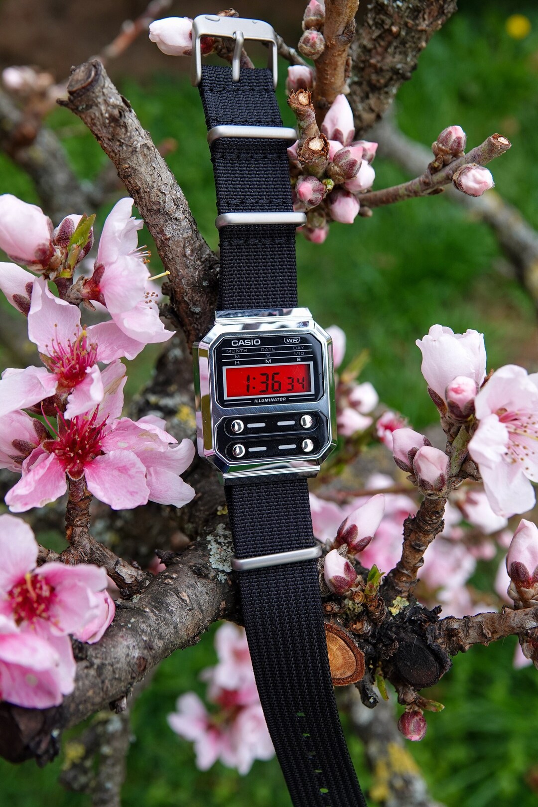 Casio A100 Red Pill Modified Custom Casio A100 With Red Screen and ...
