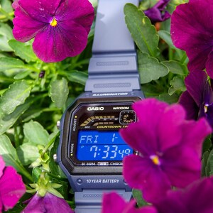 Custom Casio Ocean King Mod - Blue Casio WS-1600 Digital Modified Watch ...
