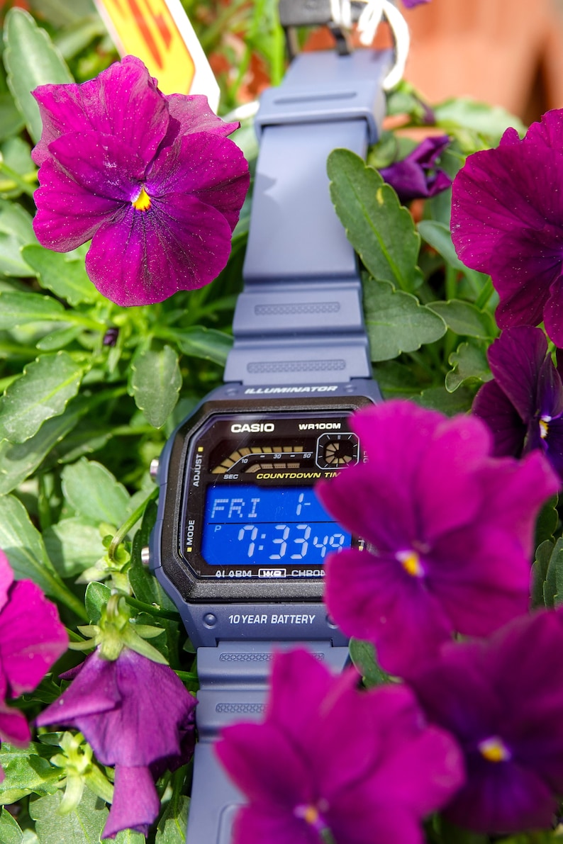 Custom Casio 'ocean King' Mod Blue Casio WS1600 Digital Modified Watch ...