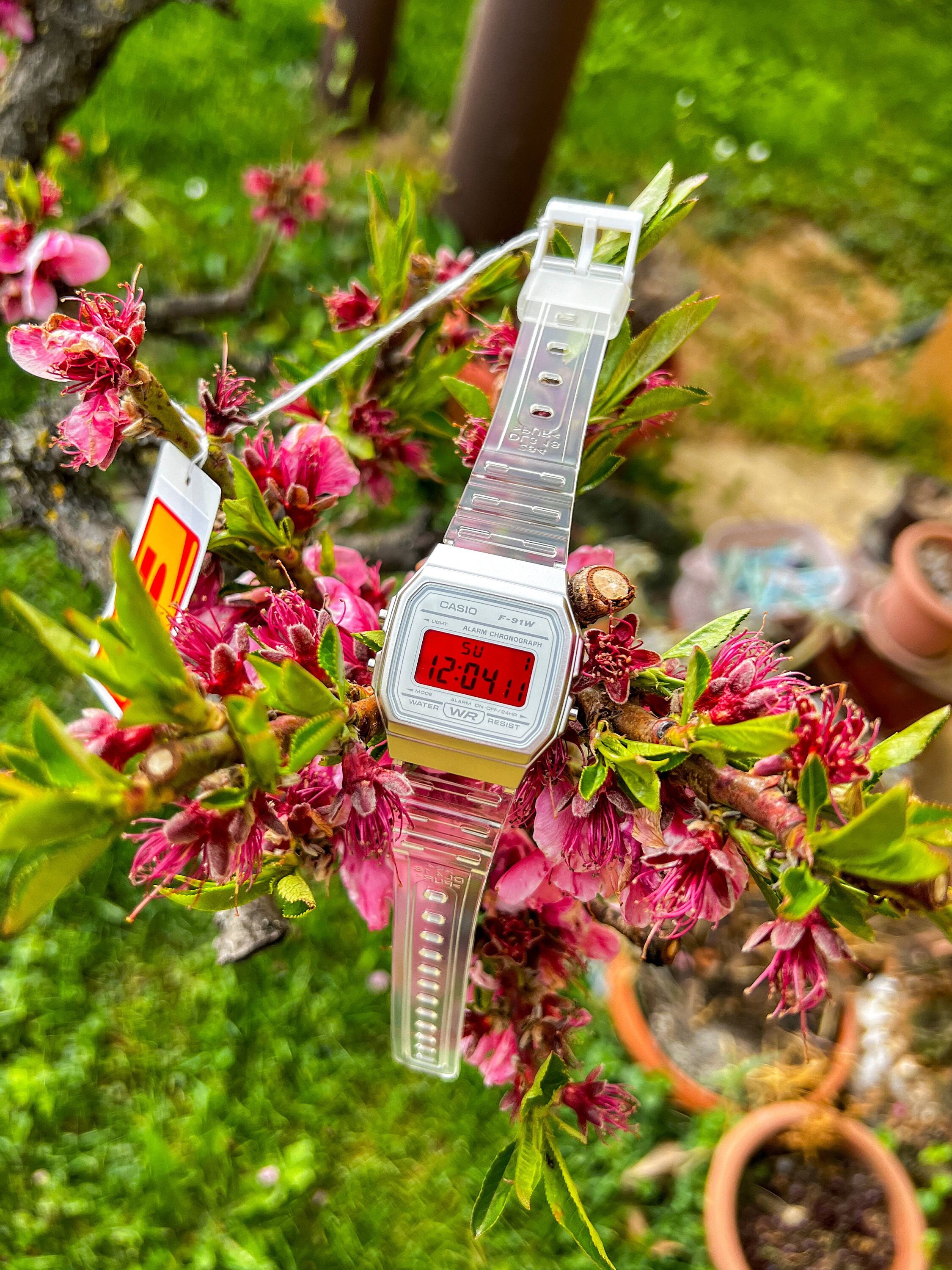 Custom Casio F91 cherry Modified Casio Custom Special Gift With Deep ...