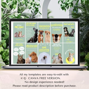 Creative Pet Instagram Story Templates: Dog & Cat Instagram Designs for ...