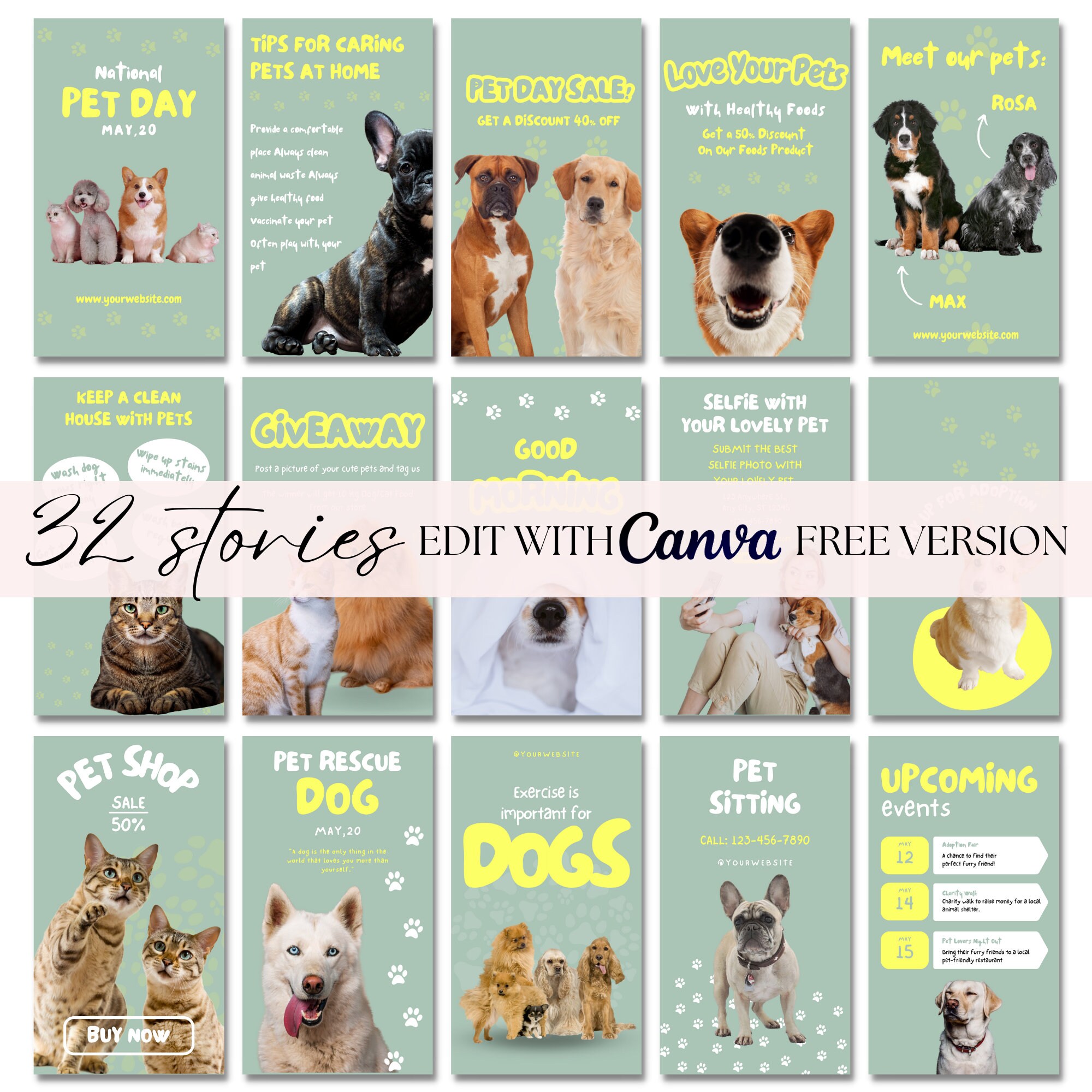 Creative Pet Instagram Story Templates: Dog & Cat Instagram Designs for ...