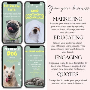 Creative Pet Instagram Story Templates: Dog & Cat Instagram Designs for ...