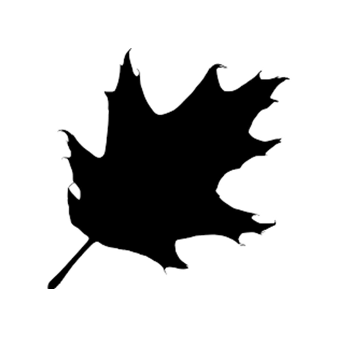 Vinyl Decal Oak Leaf Multiple Sizes/colors Perfect for Walls, Windows ...