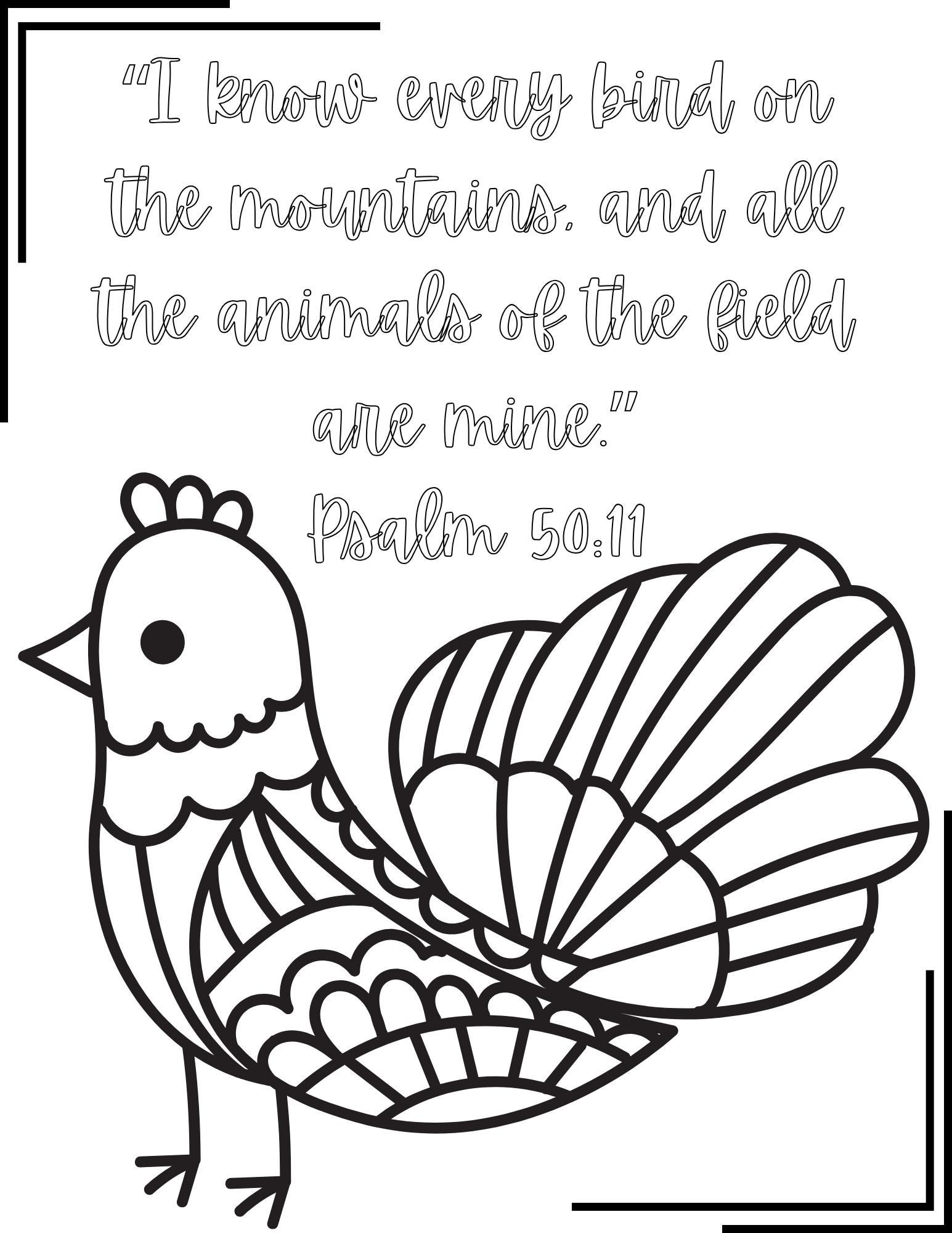 Bible Birds: Bible Verse Coloring Pages - Etsy