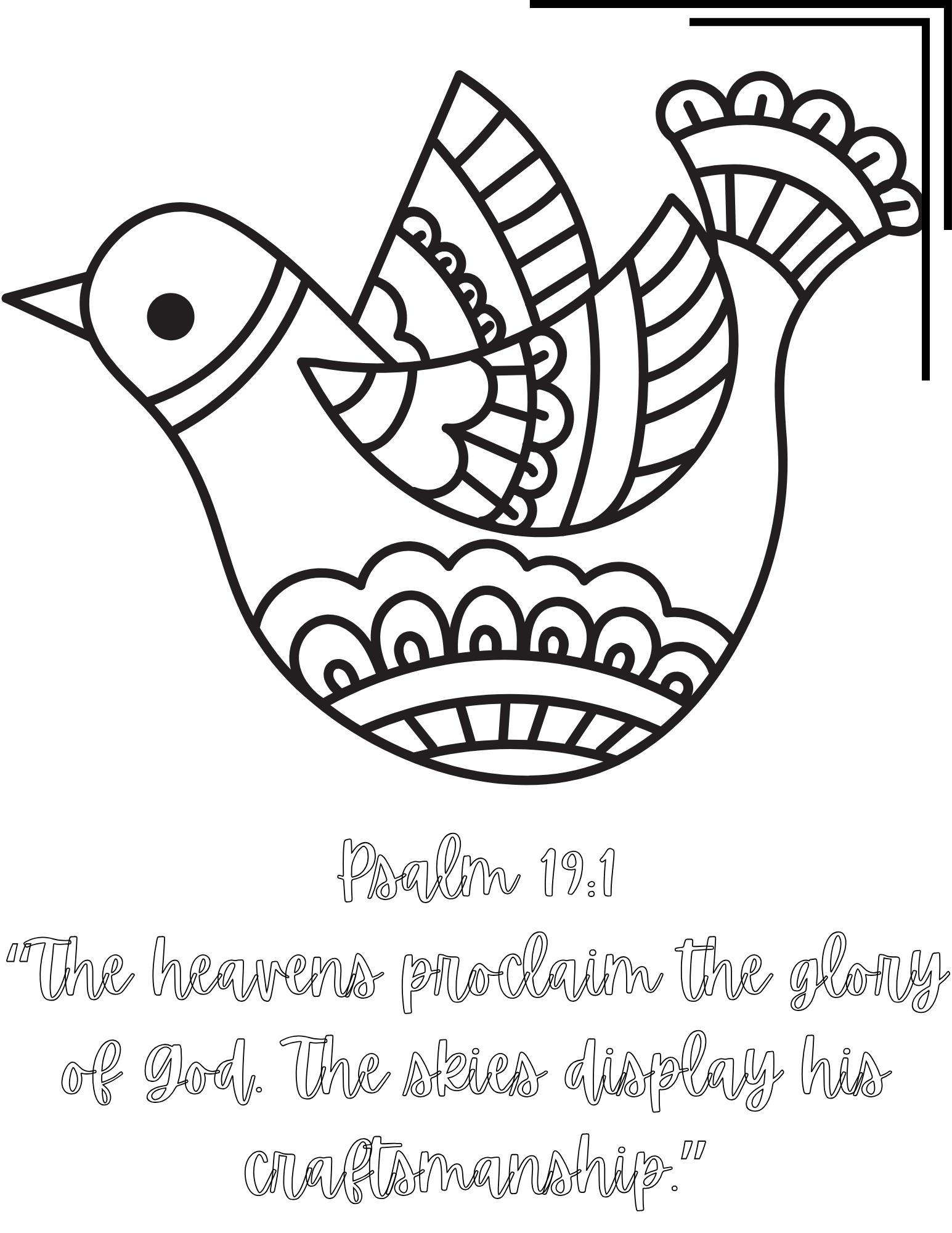 Bible Birds: Bible Verse Coloring Pages - Etsy