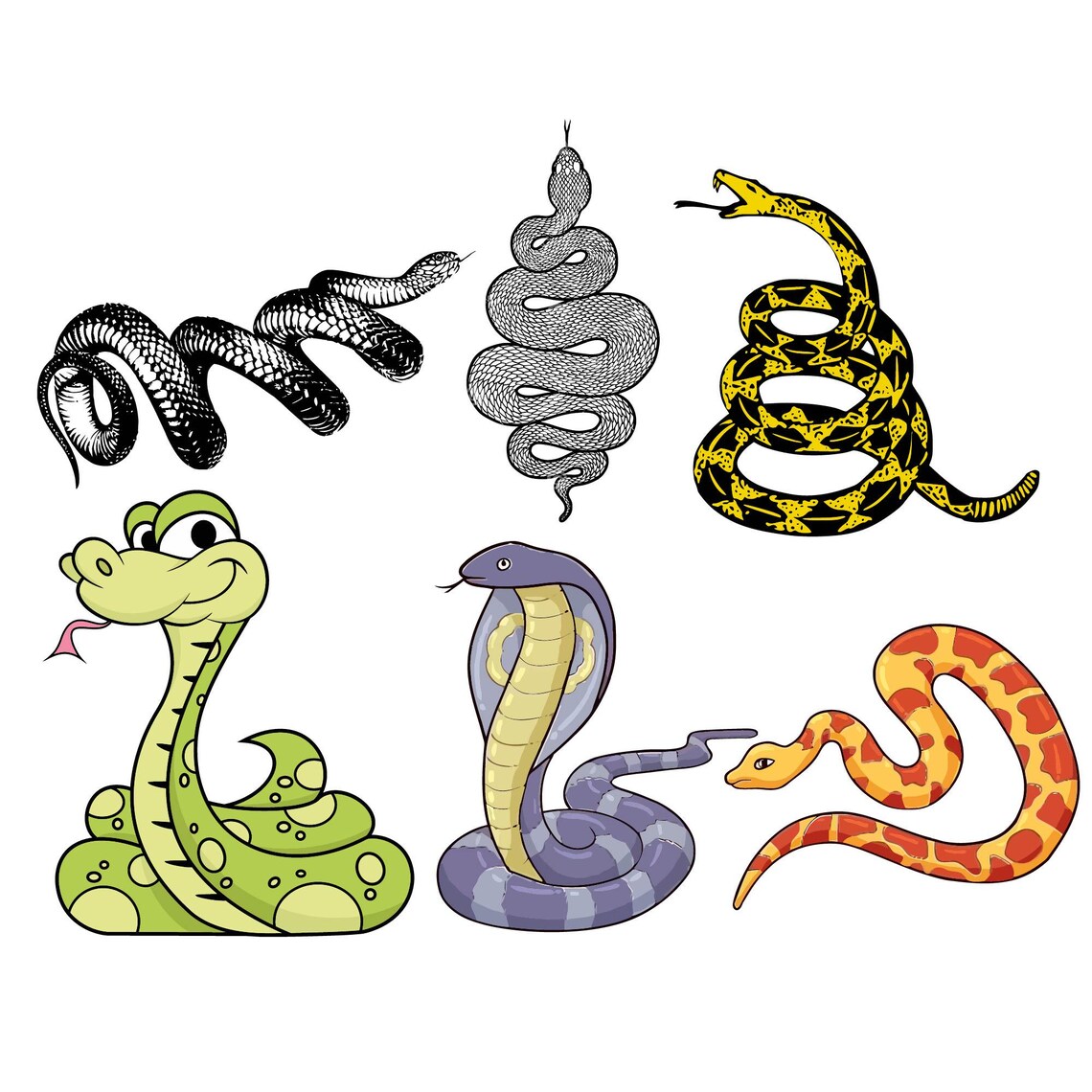 Snake SVG Bundle, Snake Silhouette, Floral Snake Svg,snake Clipart ...