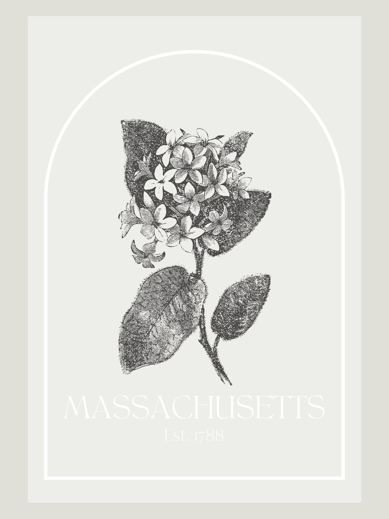 Minimalist State Flower Digital Print Massachusetts State Flower - Etsy
