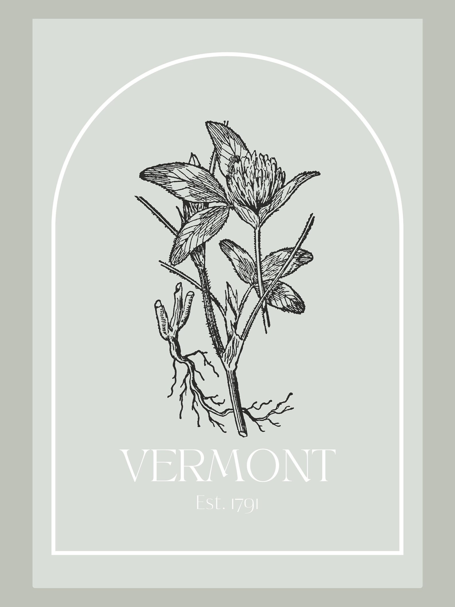 Minimalist State Flower Digital Print | Vermont State Flower - Etsy