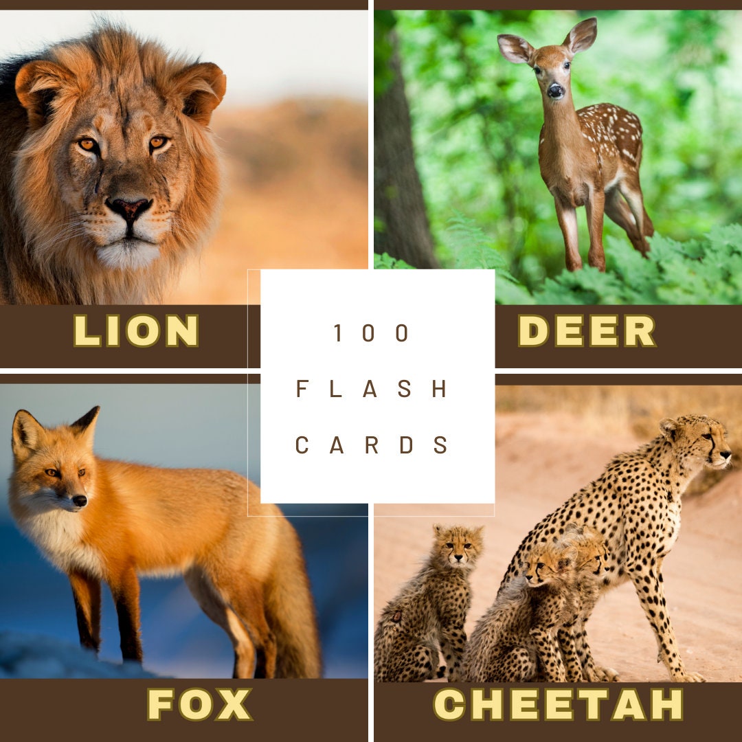 100 Printable Wild Animals Flashcards for Learning - Etsy