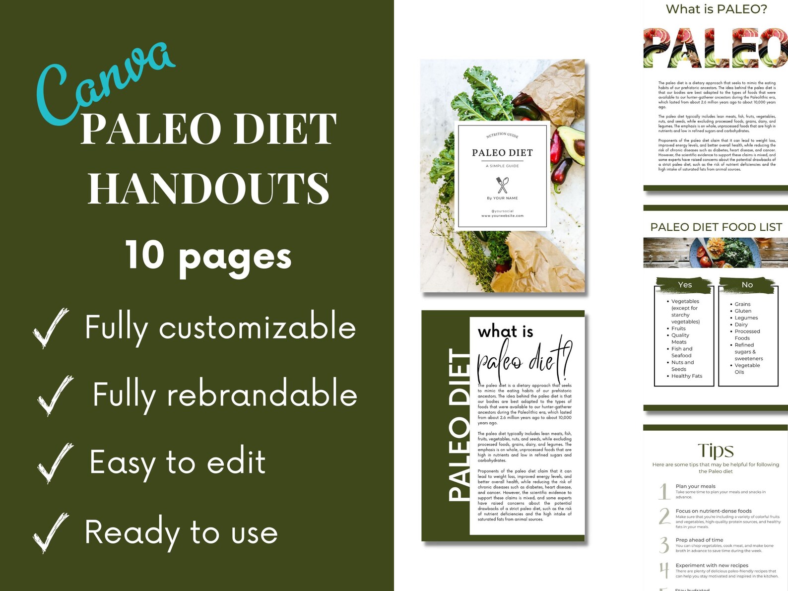 Paleo Diet Template for Dietitian Nutritionist Nutrition Coach Health ...