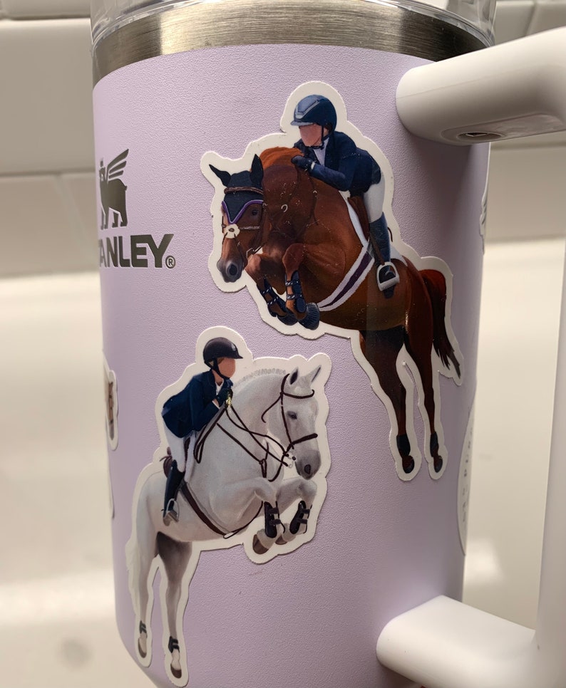 7 Different Types of Equestrian Disciplines Stickers Hunter, Jumper ...
