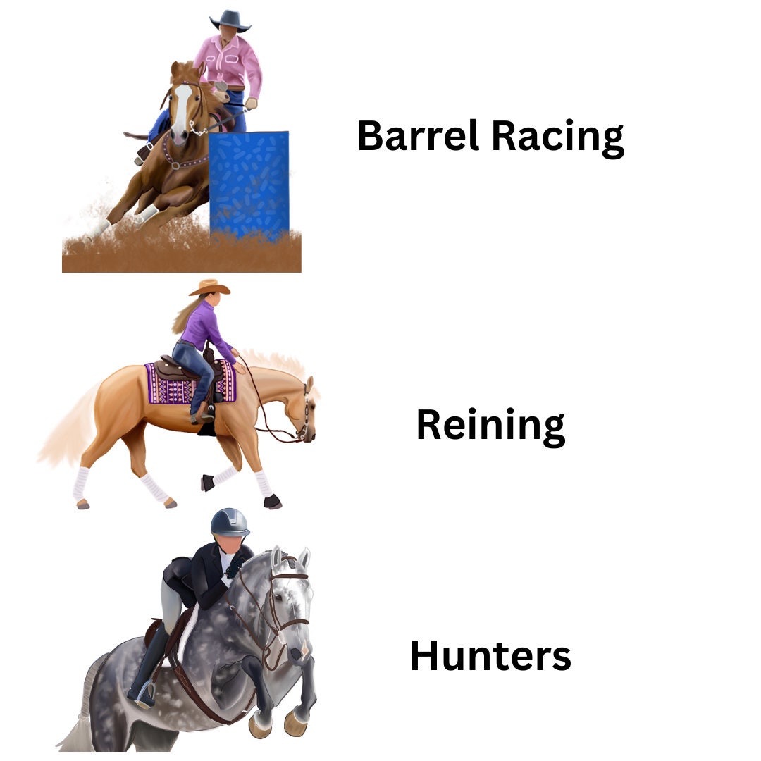 7 Different Types of Equestrian Disciplines Stickers Hunter, Jumper ...