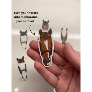 Custom Horse Face Stickers - Equestrian Horse Stickers and Decals Art ...