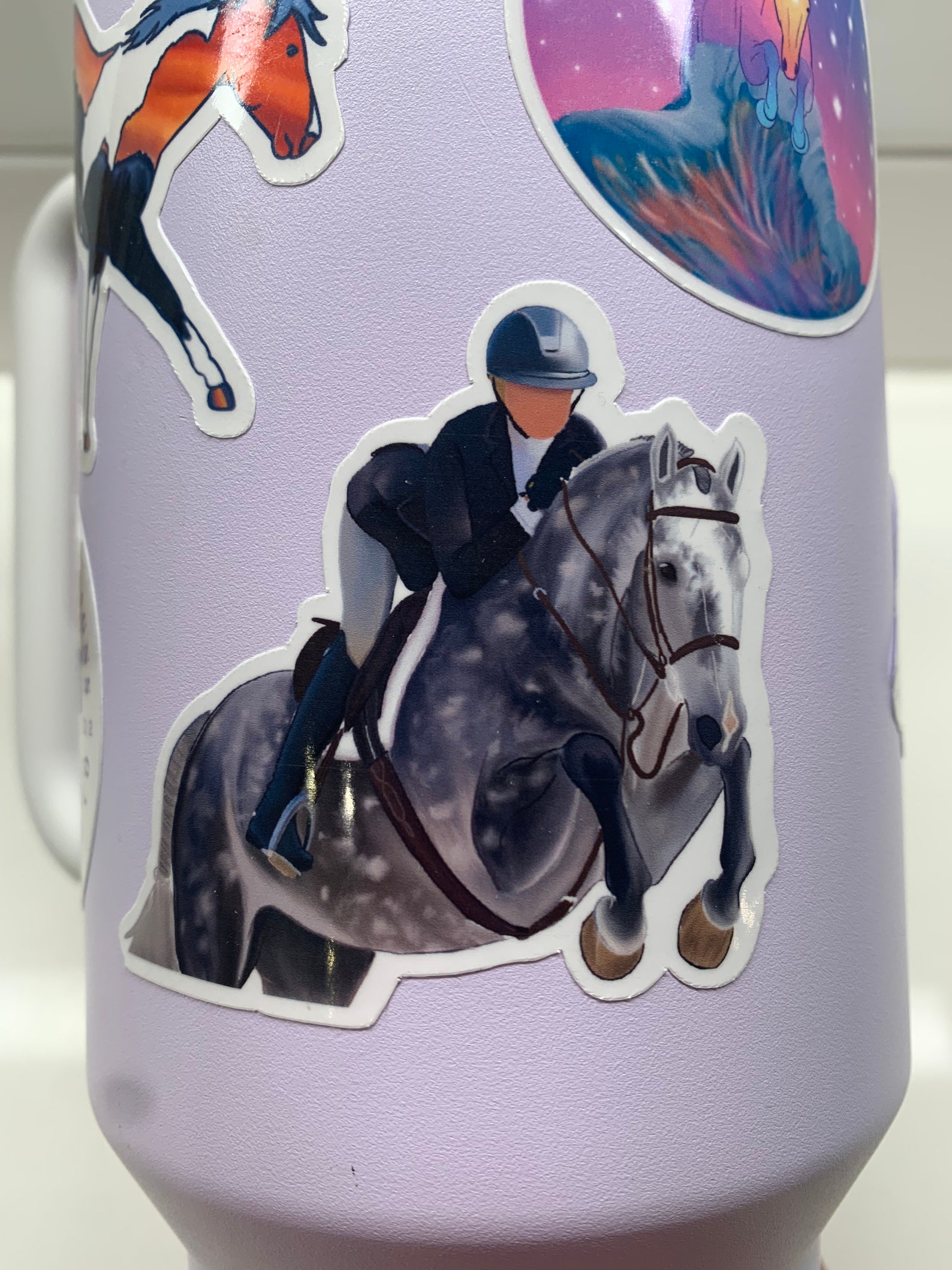 7 Different Types of Equestrian Disciplines Stickers Hunter, Jumper ...