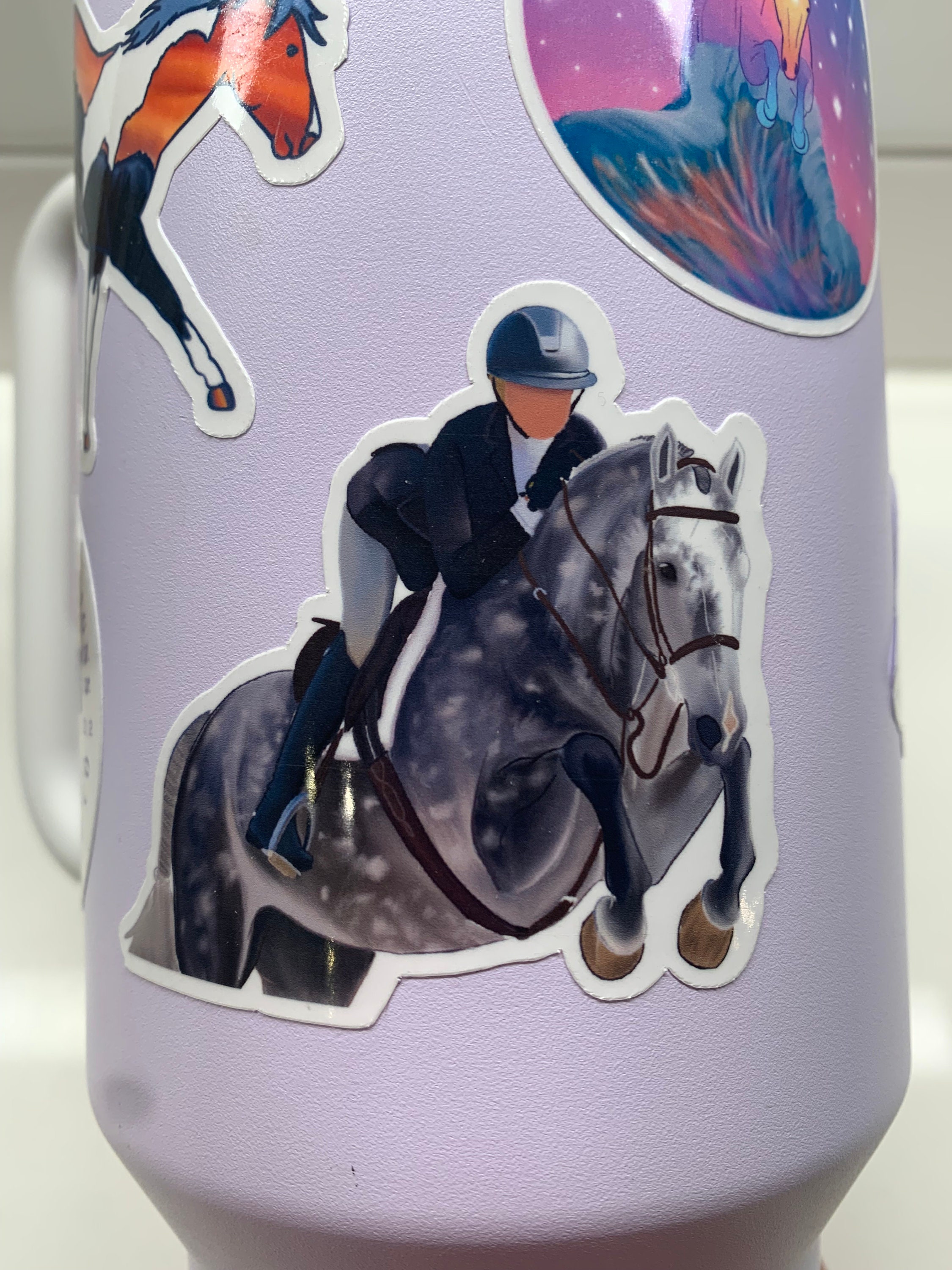 7 Different Types of Equestrian Disciplines Stickers Hunter, Jumper ...