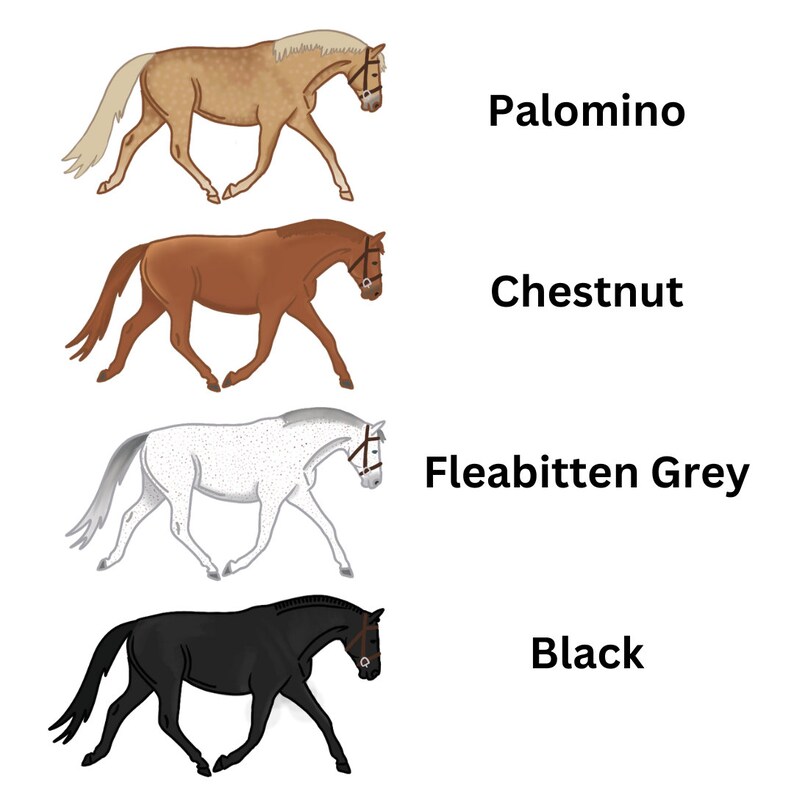 Equestrian Horse Gifts and Birthday Presents - Horse Coat Colors ...