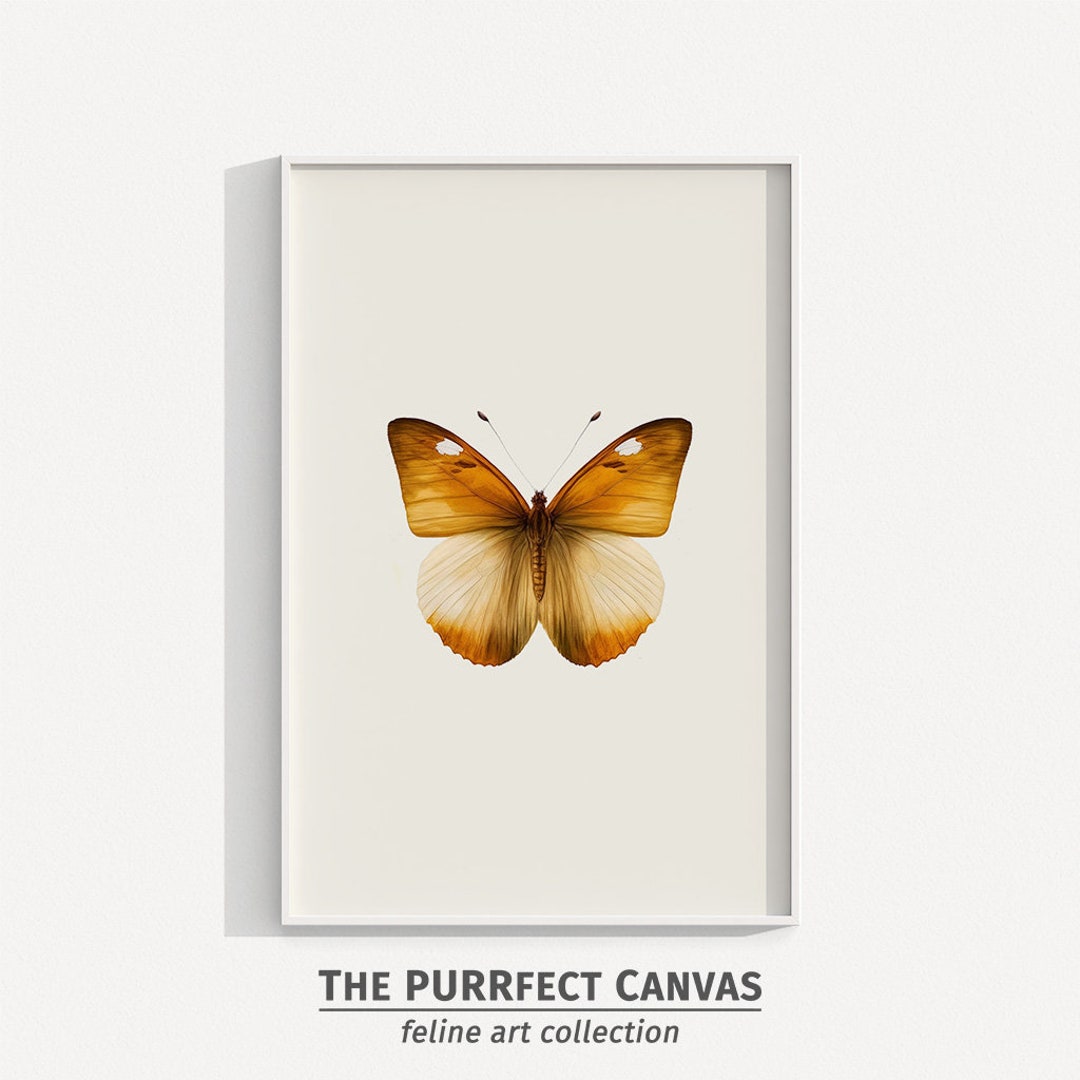 Butterfly Amber & Cream Water Color Painting Style Illustration Animal ...