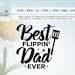 Best Flippin' Dad Ever, Apron Saying Svg, Father's Day Quote, Funny BBQ ...