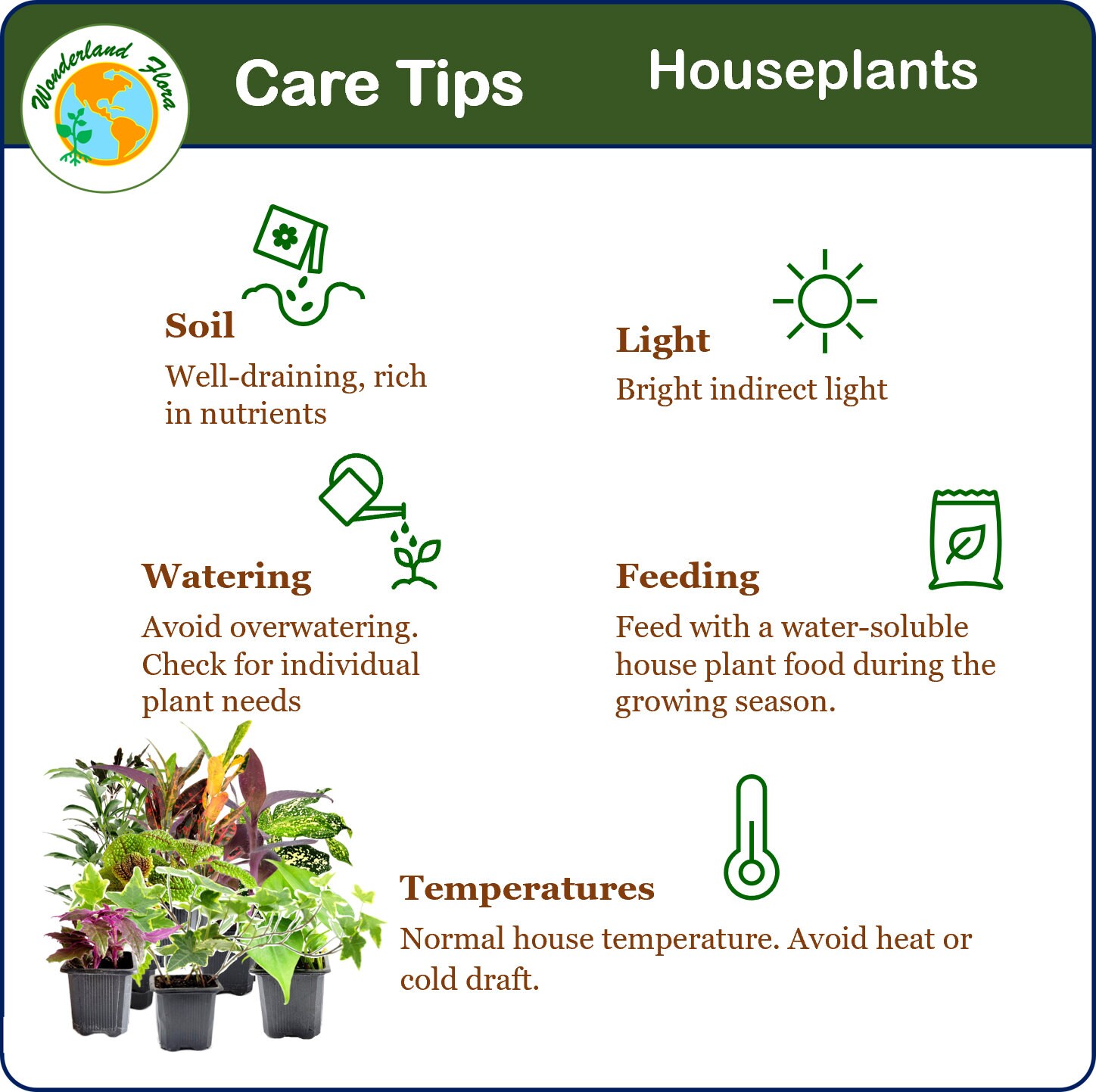 6PK 3pot Live Plant Collection, No Duplicates for up to Three Packs 18 ...