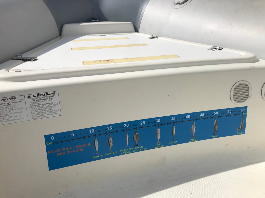 ATLANTIC Adhesive Measuring Rod for New Fish - Etsy