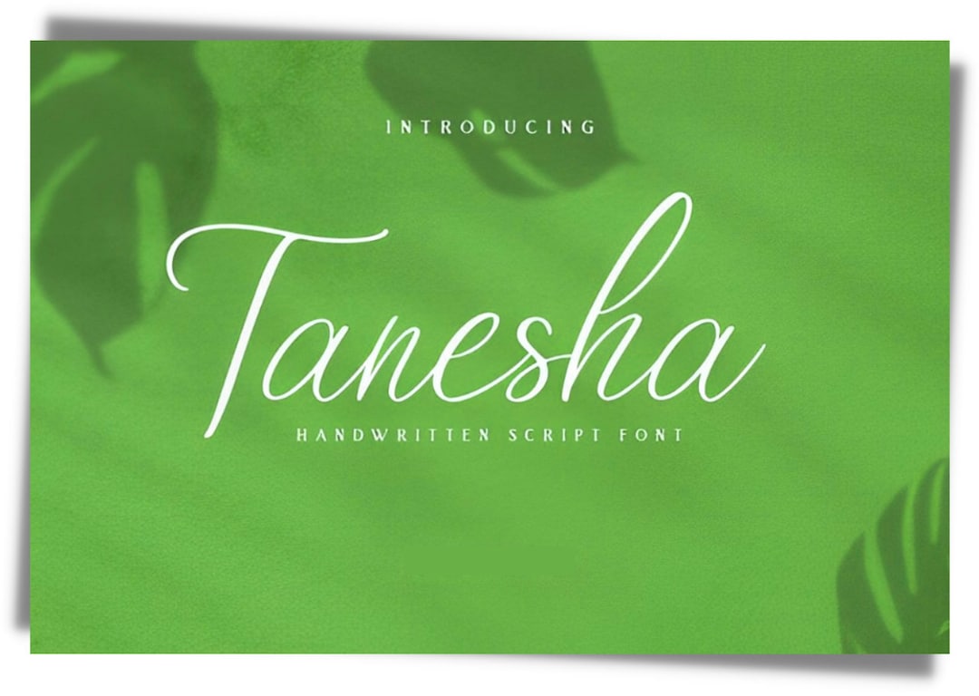 Tanesha Font Bundle Handwritten Script Font Chunky Font - Etsy