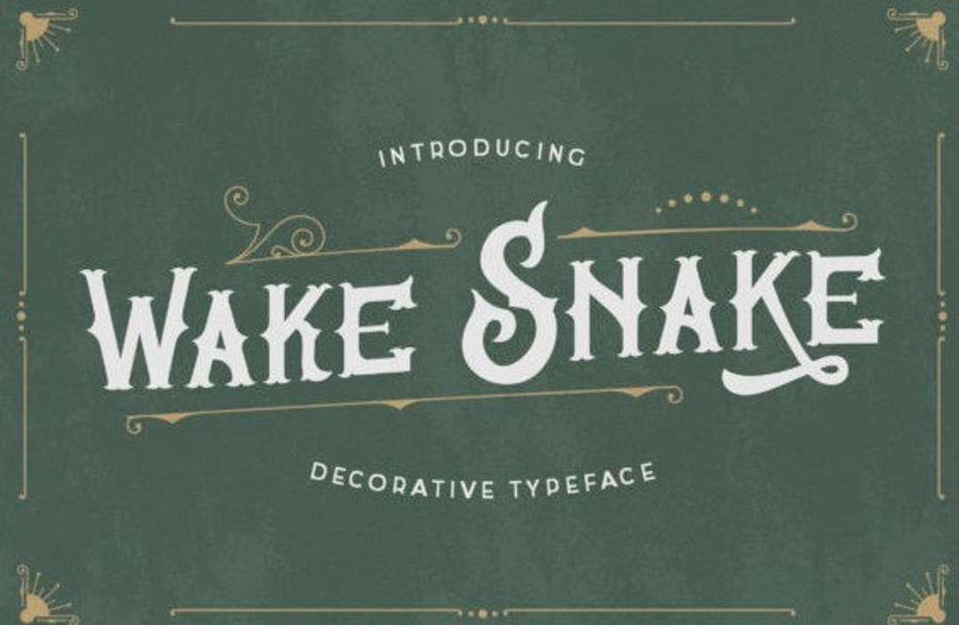 Wake Snake Font, Minimalist Font, Cricut Fonts, Casual Font, Modern ...