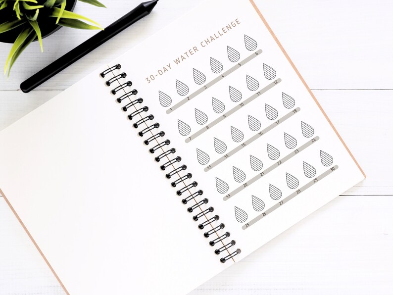 Monthly Water Tracker Printable, 30 Day Water Challenge, Hydration ...