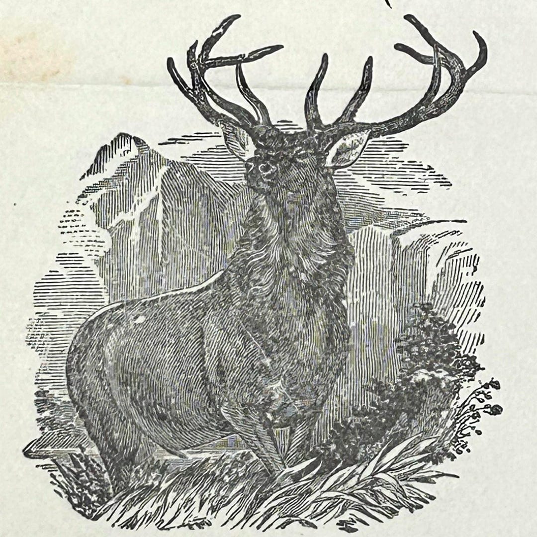 Vintage Paper Receipt Fancy Elaborate Design Buck Deer (1894) Antique ...