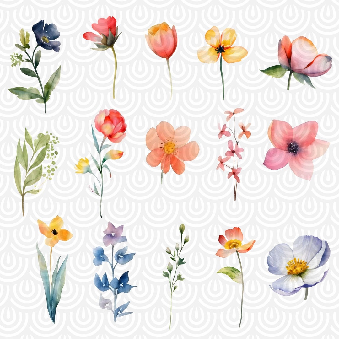 Watercolor Bright Spring Summer Flowers Clipart - Wildflower Floral PNG ...